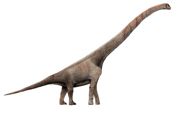 Fun Facts About Dinosaurs | I Kid You Not