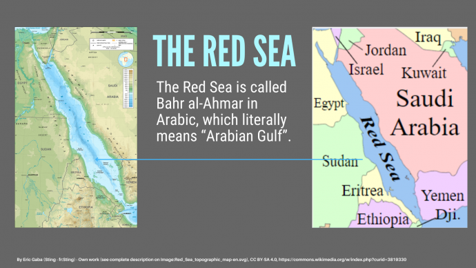 Fun Facts About the Red Sea | I Kid You Not